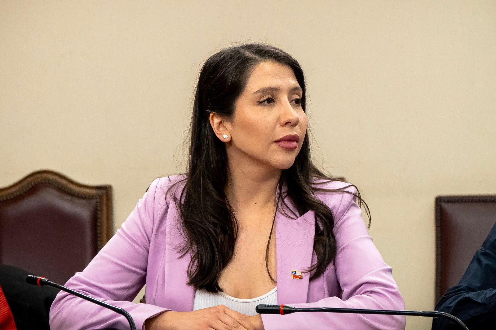Ante nuevo sistema frontal: Diputada Consuelo Veloso solicita agilizar ...